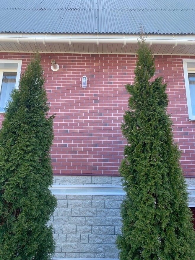 Фасадная панель Docke BERG Рубиновый купить по низкой цене от производителя - г.Краснодар